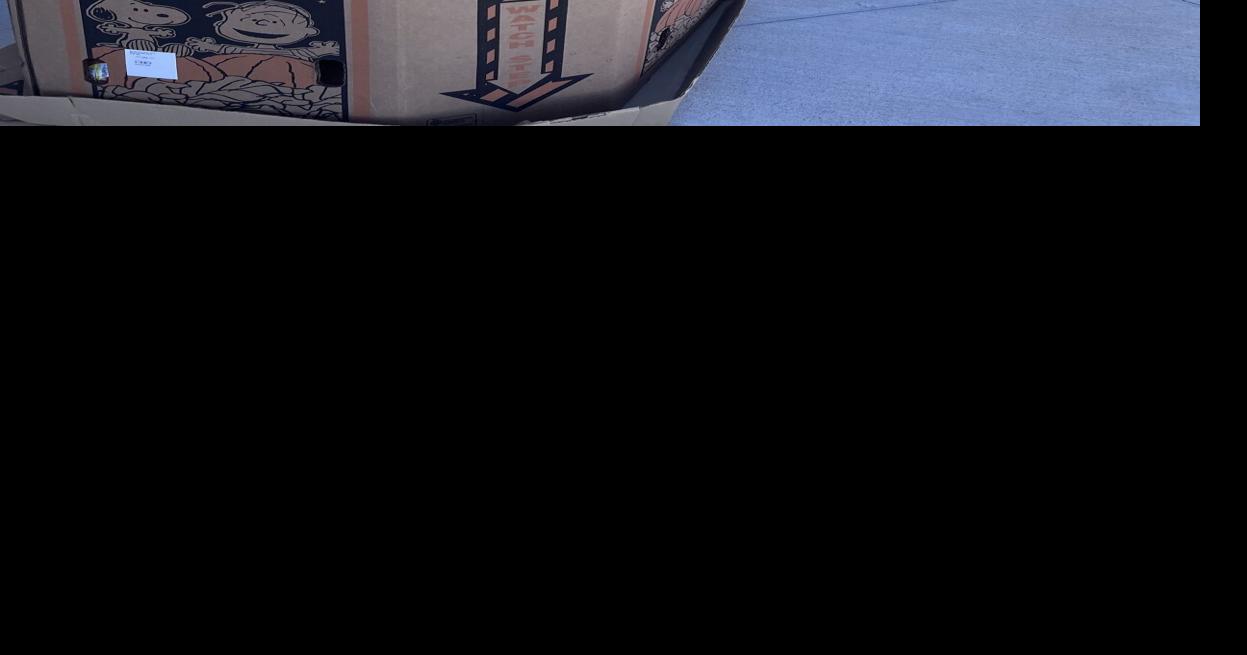 Aquatic Center to host 4th Annual Floating Pumpkin Patch | News ...