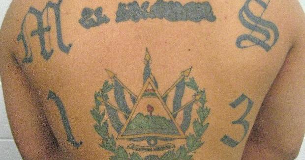 Border Patrol arrests an MS-13 gang member in Calexico | News ...