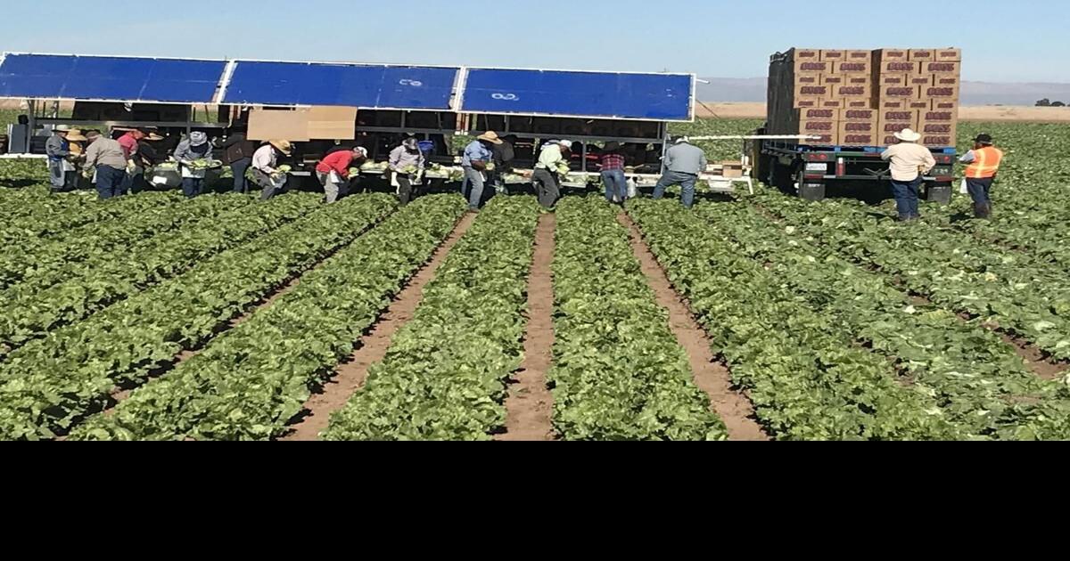 California poised to create Annual Farmworker Day | Agriculture ...