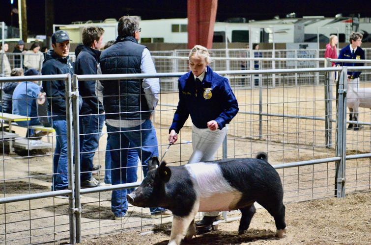 Annika Mitosinka earns top spot in FFA Round Robin | Agriculture ...