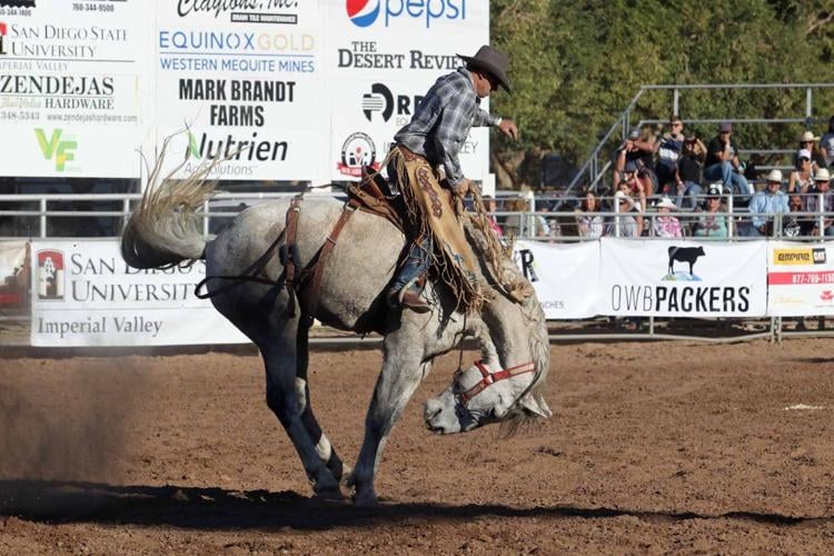 Cattle Call Rodeo returns | A&E | thedesertreview.com