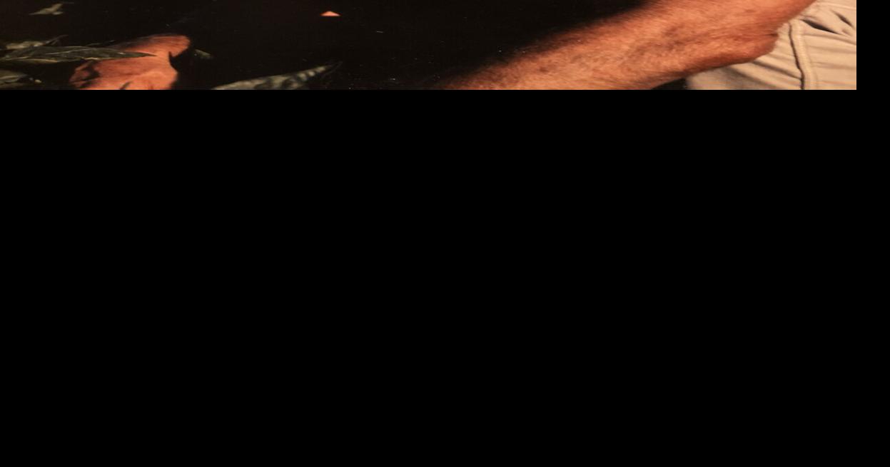 Agricultural icon Neal Jack leaves legacy of innovation | News ...