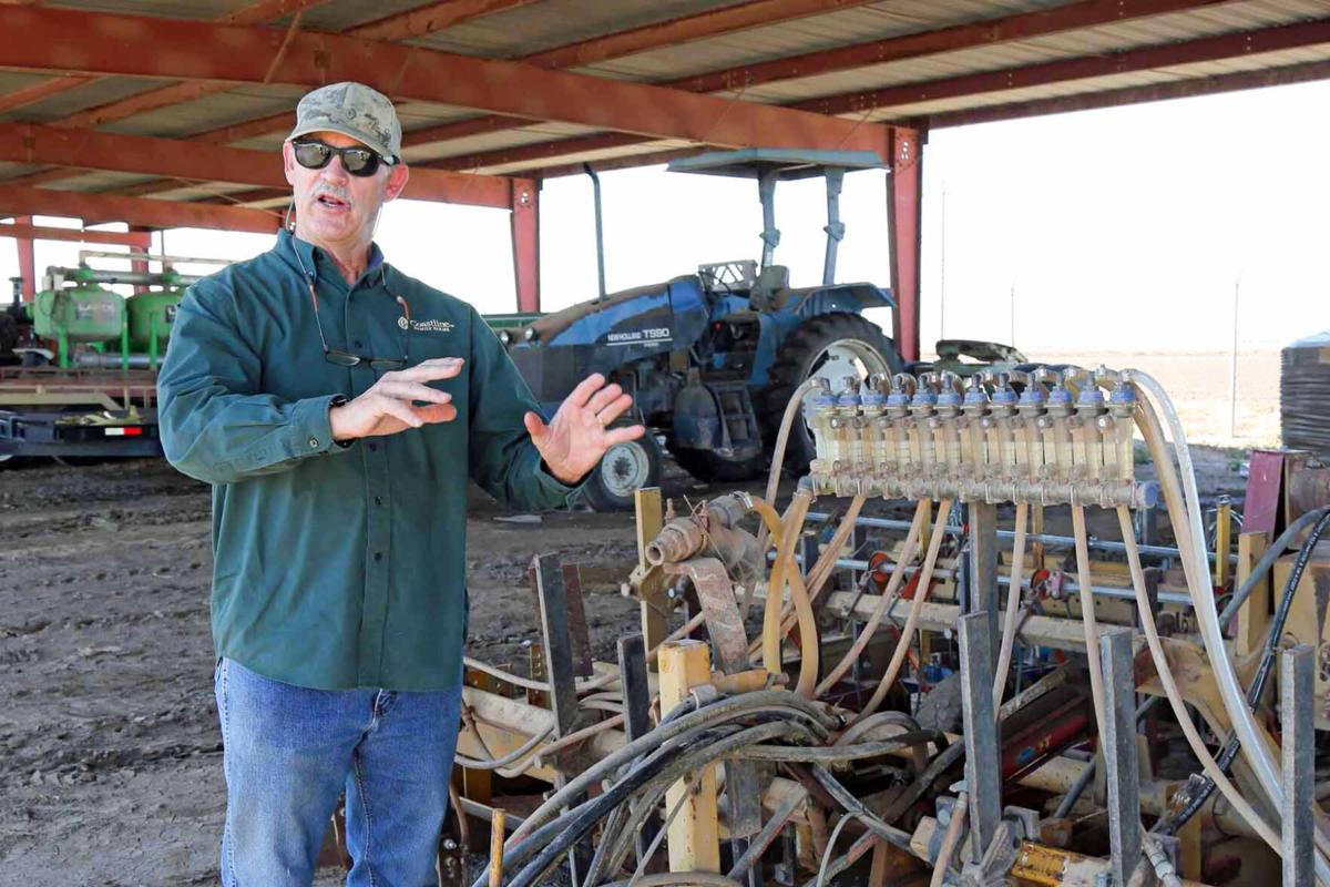 Lawrence Cox Ranches harvests the lettuce | Agriculture ...