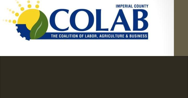 COLAB Elects New Board | Local News | thedesertreview.com