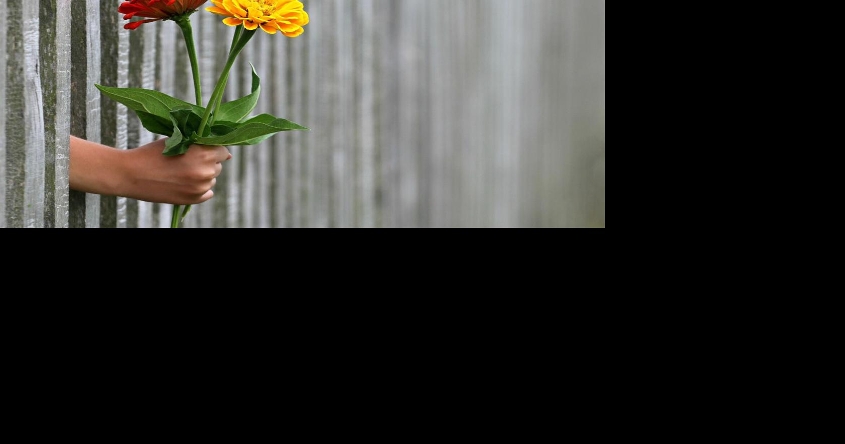 CBP issues reminder on rules for importing flowers from Mexico | Law ...