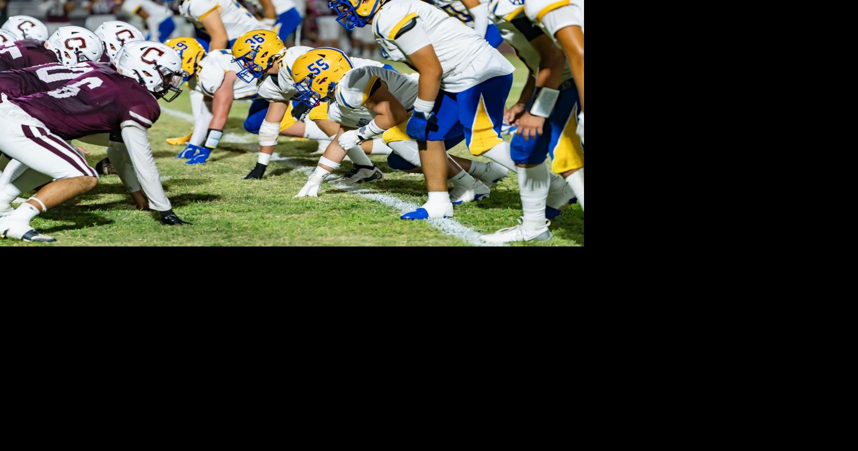 Wildcats open IVL play with victory over Bulldogs | Sports ...