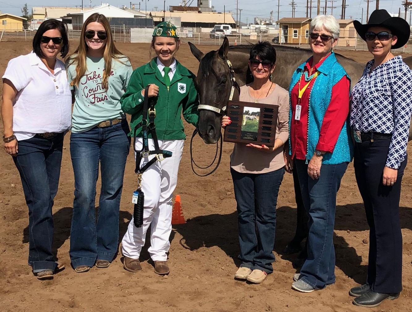Horse showmanship starts the weekend of fair showing | News ...
