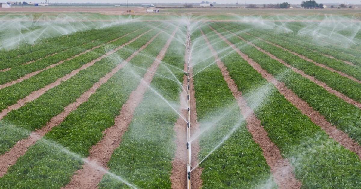 IID joins national ‘Imagine a Day Without Water’ campaign | Local News ...