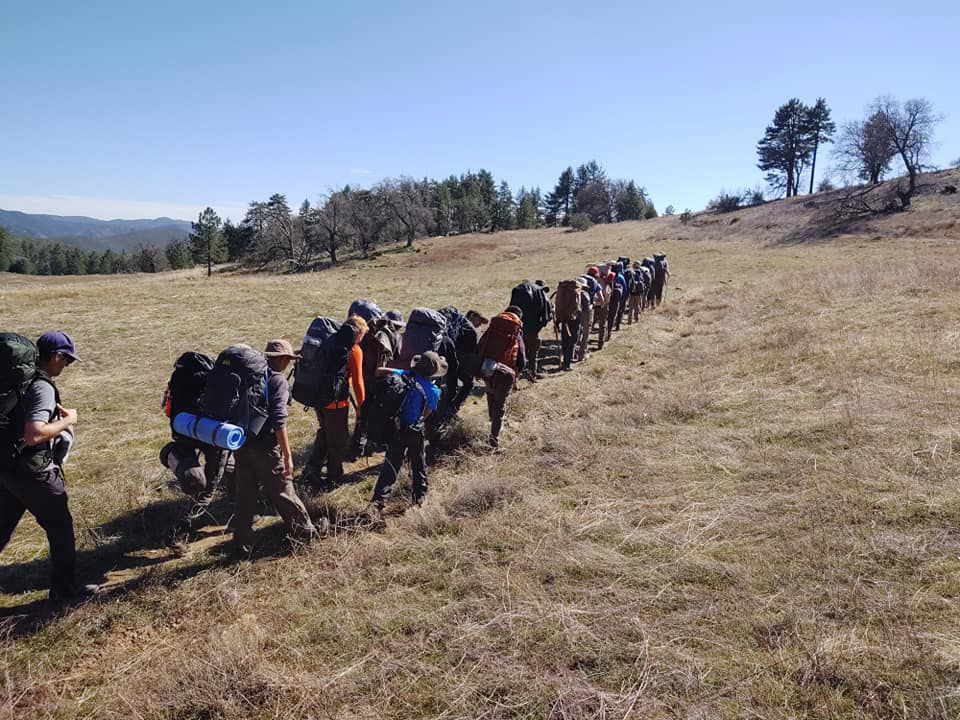 Boy Scouts go online | News | thedesertreview.com