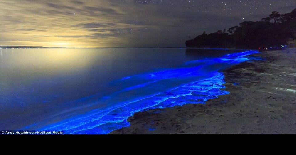 The waves are alive with blue-light emitting algae | News ...