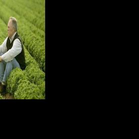 Valley Vegetable Growers announce new scholarship | A&E ...