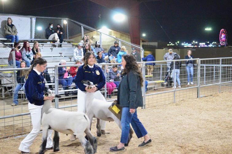 Annika Mitosinka earns top spot in FFA Round Robin | Agriculture ...