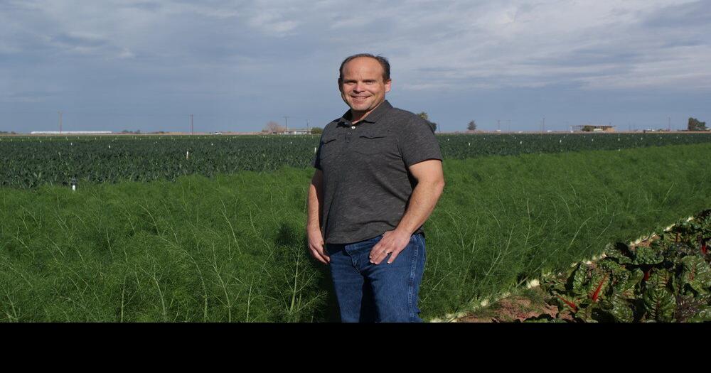 California LGMA names new board, bids farewell to former CEO ...