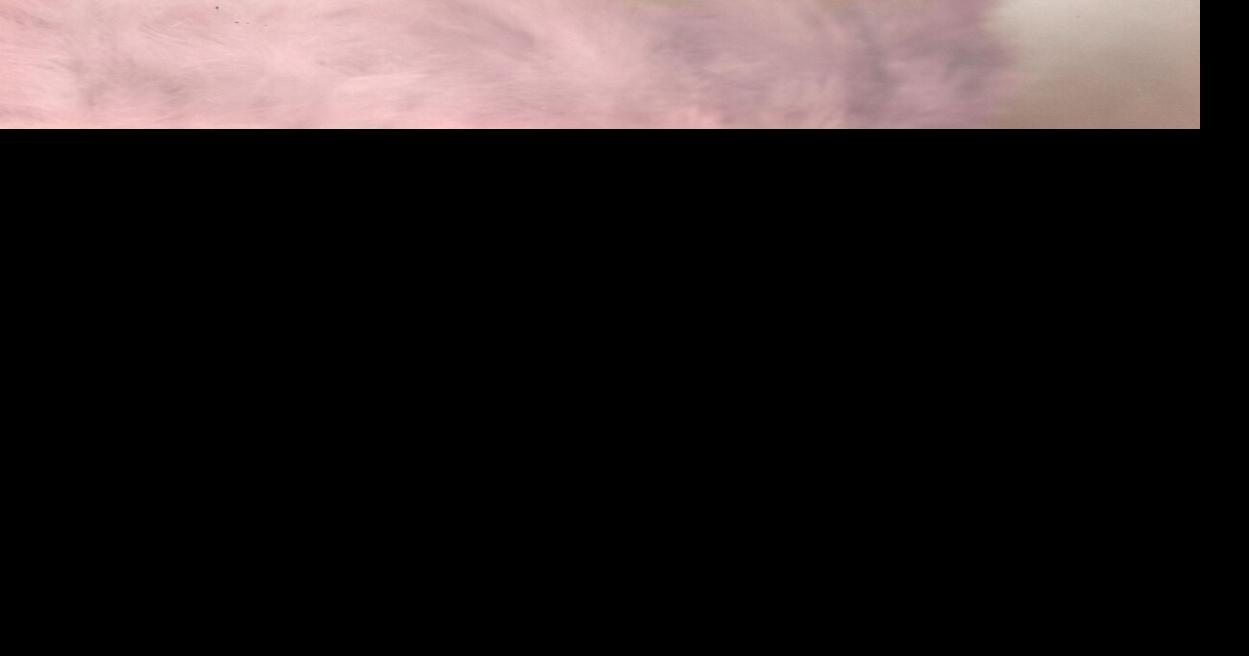 Nancy Wise | Life Tributes | thedesertreview.com