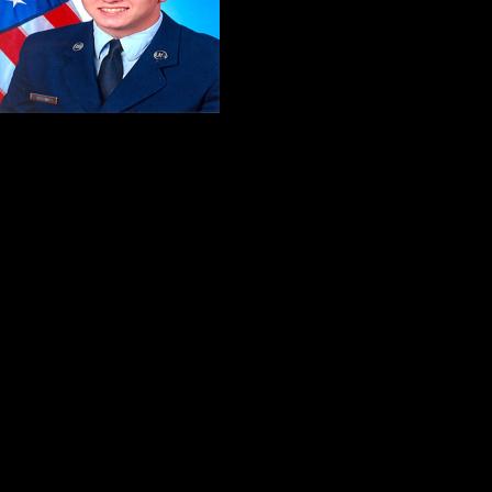 Rollins completes Air Force basic training | News | thedigitalcourier.com
