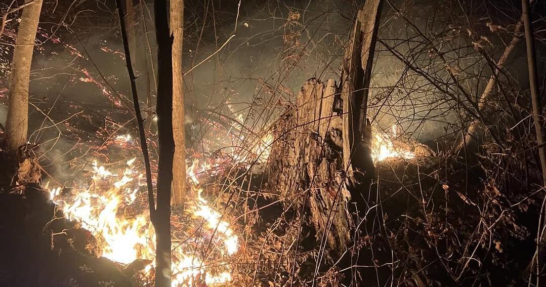 Wildfire mostly contained | Archives | thedigitalcourier.com