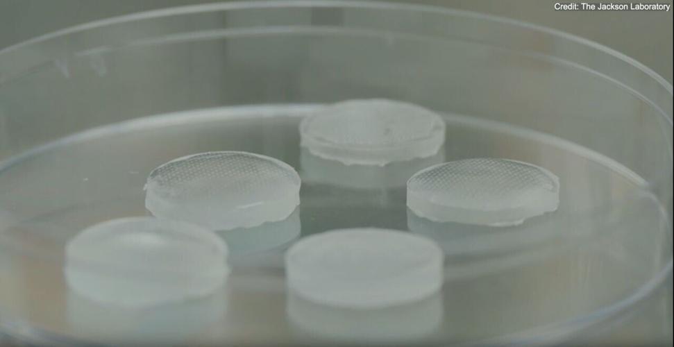 ‘Painless’ patch provides more accurate way to monitor immune ...
