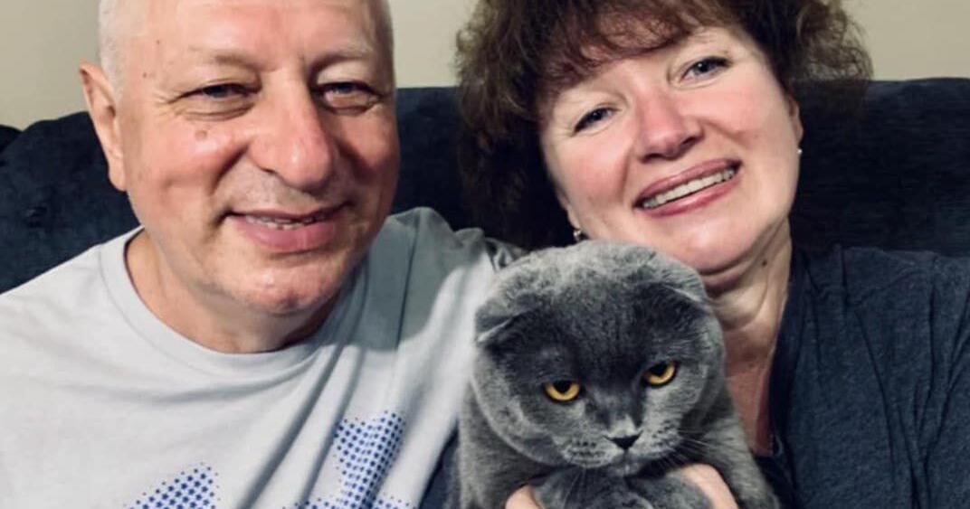 Ukrainian couple in Rutherford County reunites with pet cat; Cat ...