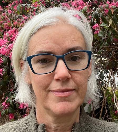 Bradford pear's fall from grace | Archives | thedigitalcourier.com