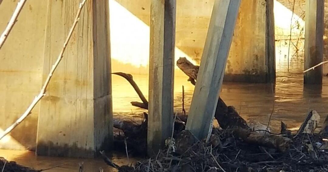 Forest City bridge reopens with one lane | News | thedigitalcourier.com