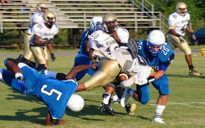 RS Central hopes youth movement leads to playoffs | Sports ...