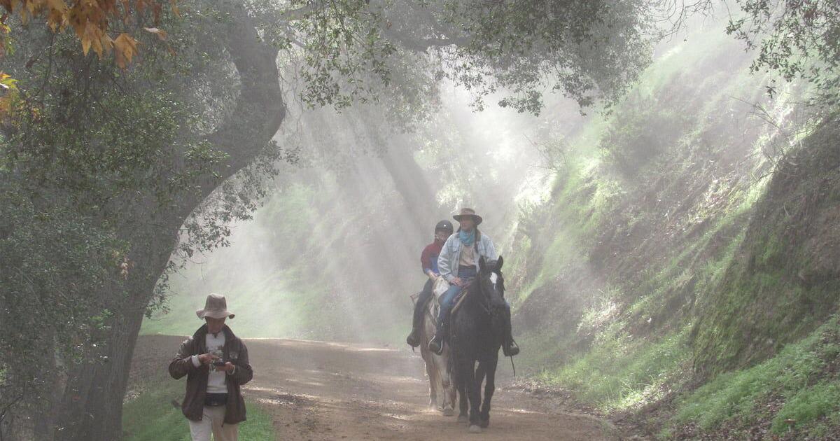 Sharing the Trail at Griffith Park | Los Feliz News | theeastsiderla.com