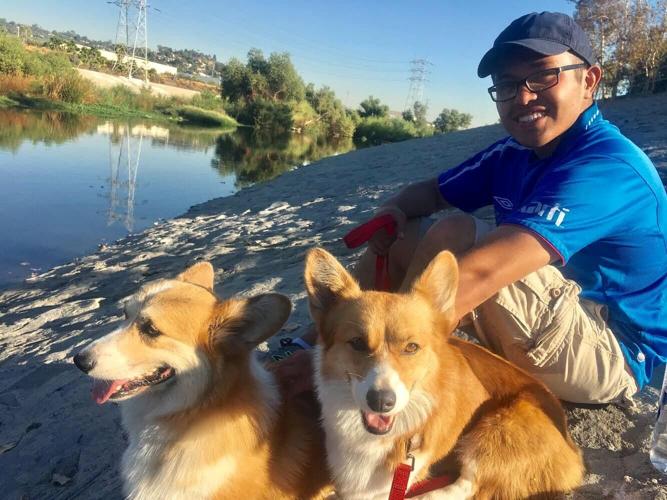 Not the Queen's Corgis | Cypress Park News | theeastsiderla.com