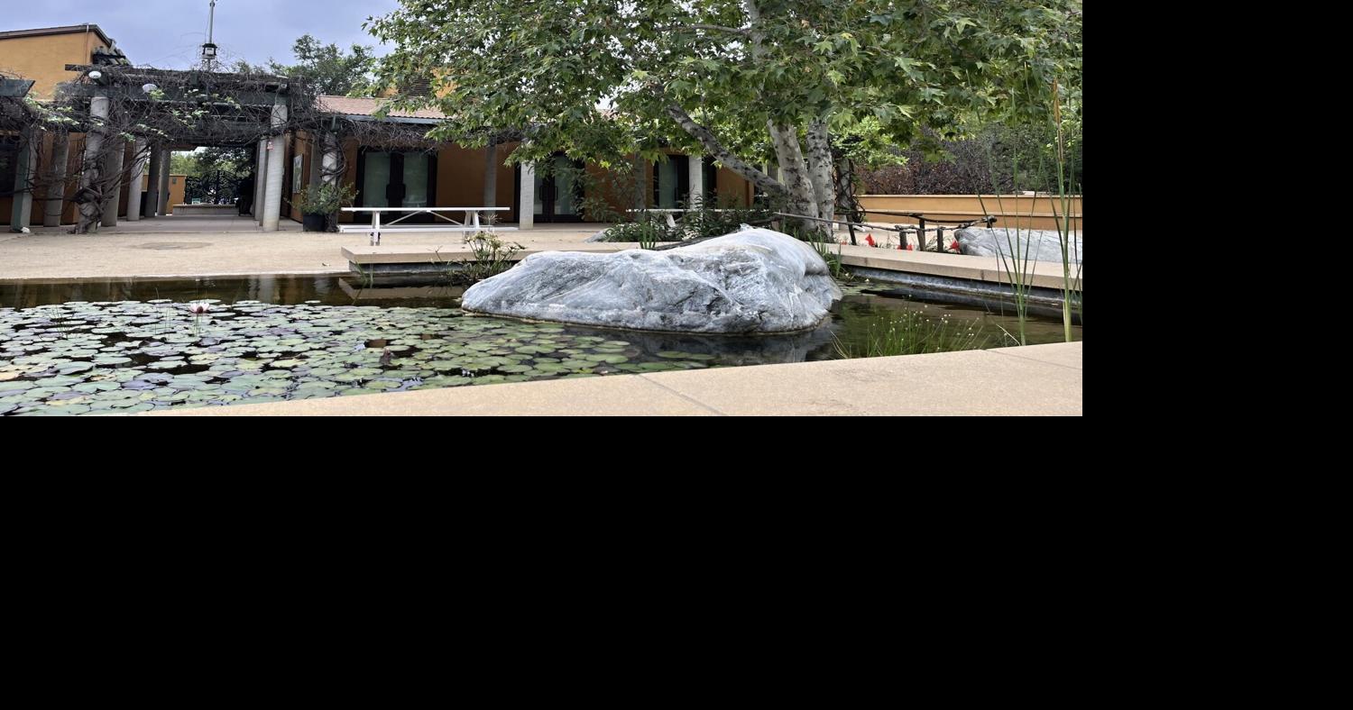 Audubon Center offers free space after wildfire loss | Montecito ...