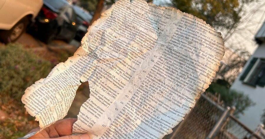 Reminders of a disaster arrive with the wind | Echo Park News ...