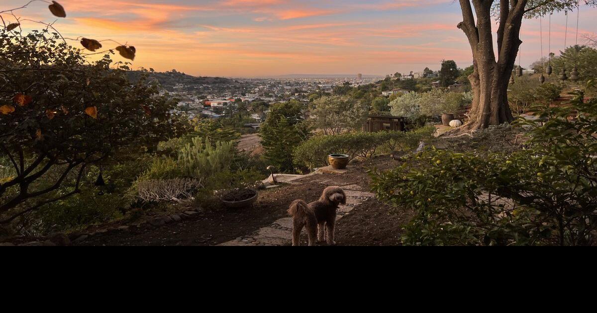 Pink Morning | Mount Washington News | theeastsiderla.com