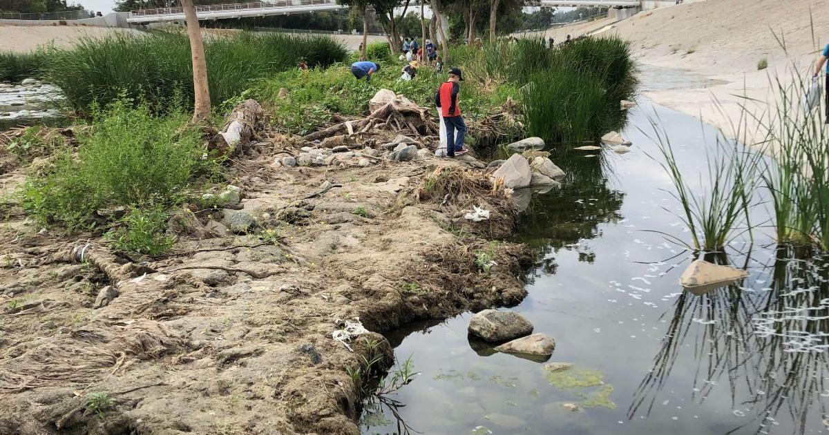 Cleaning Up the Los Angeles River with FOLAR | Atwater Village News ...