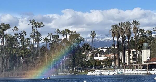 Snow in Echo Park? | Tree hits Barlow building | Neighborhood noir film ...