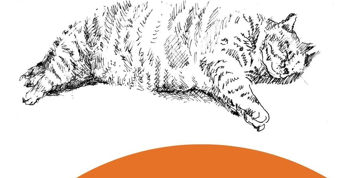 Room 8: Elysian Heights famous classroom cat gets a new book | Elysian ...