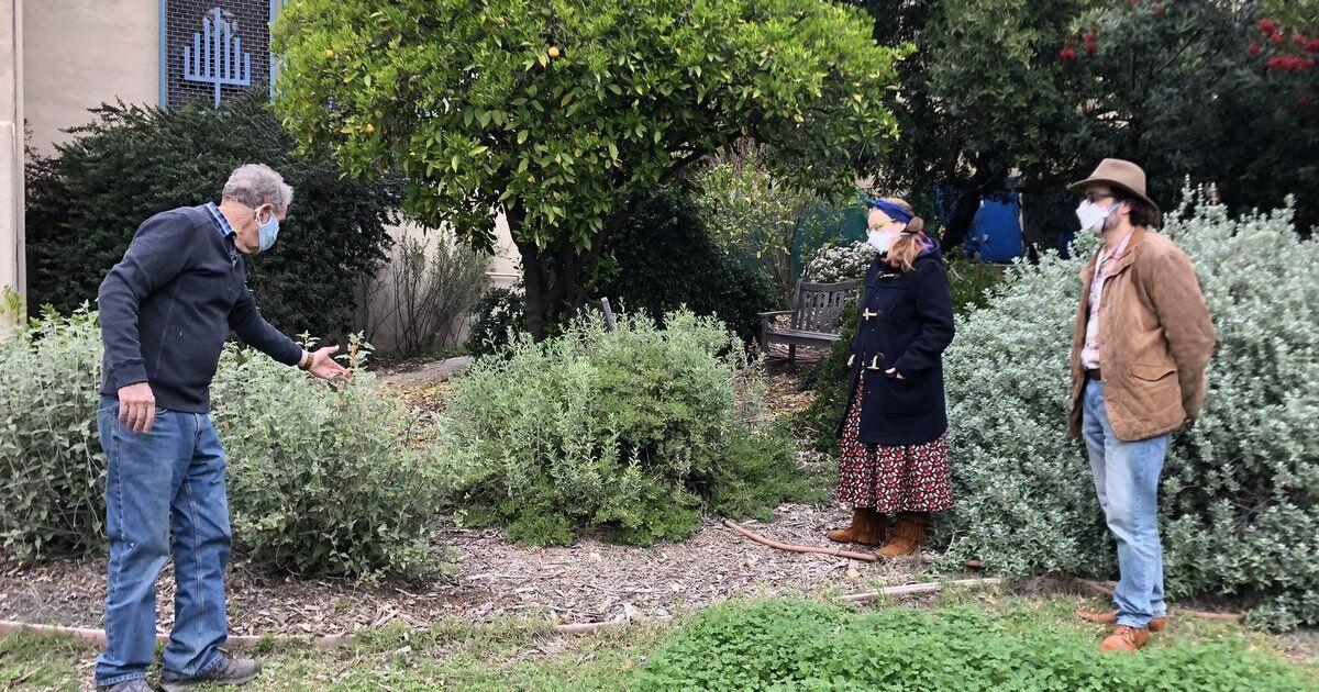 From garden to rooftop, Highland Park’s Temple Beth Israel is rooted in ...