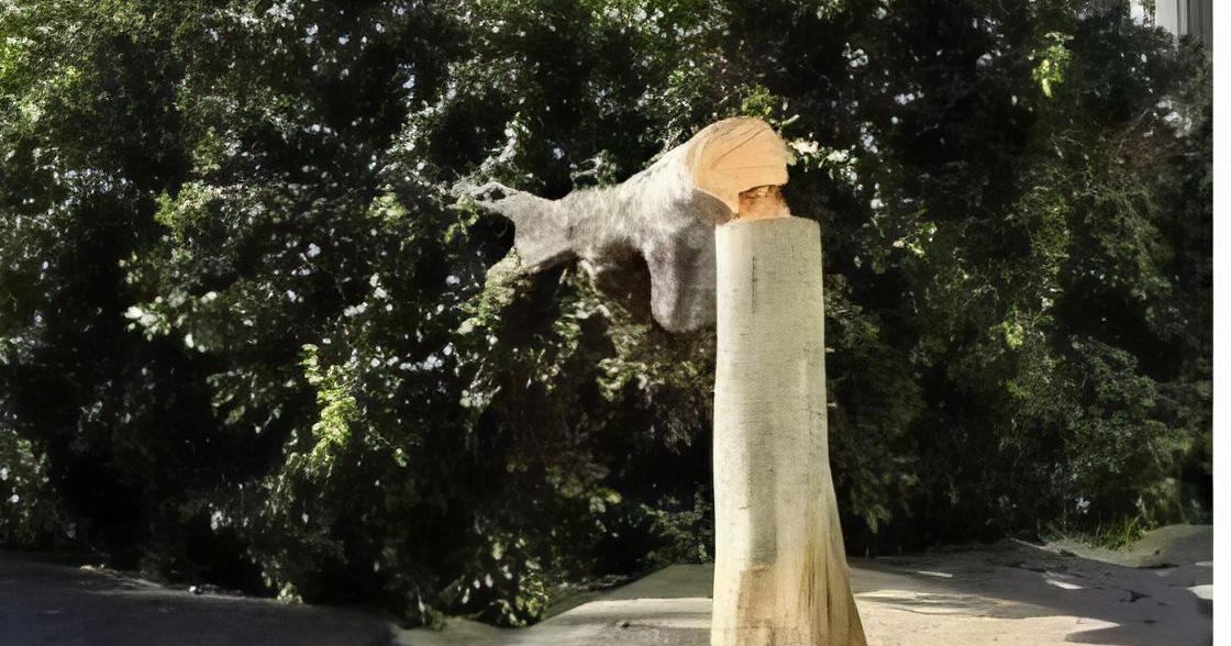 Police arrest man suspected of cutting trees in Downtown L.A. and ...