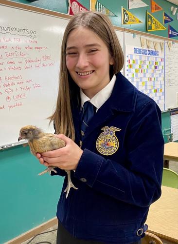Eagle Rock students grow urban agriculture skills with FFA | Schools ...