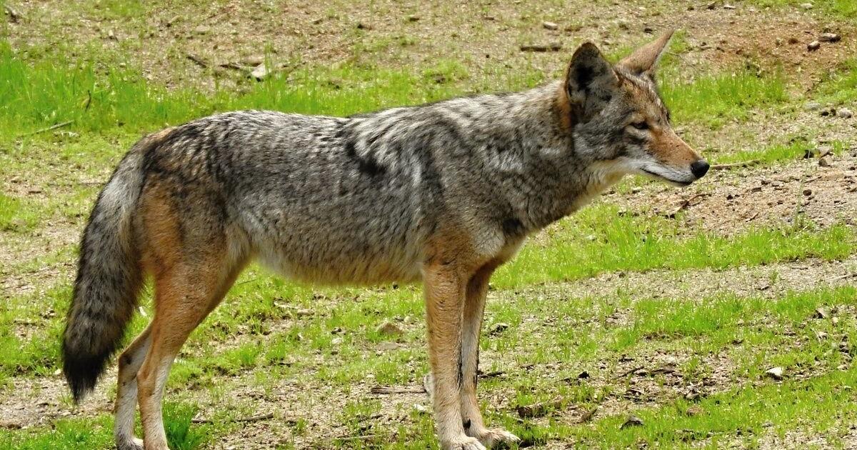 RV parking restrictions expanded | City Terrace homes for under $600k ...