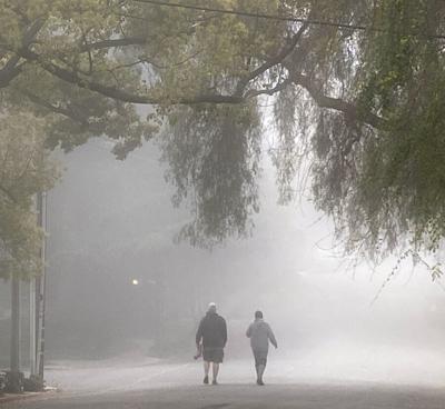 Foggy Start to the Day | Scenes And Sightings | theeastsiderla.com