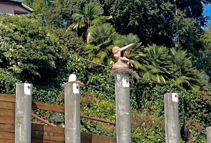 Roller Coaster Road | Daily Digest Evening Edition | theeastsiderla.com