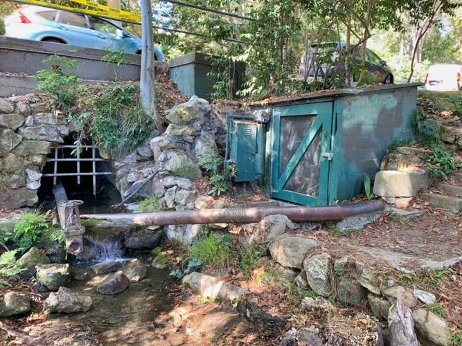 Fern Dell Revitalization: Hidden Waters Unleashed | Los Feliz News ...