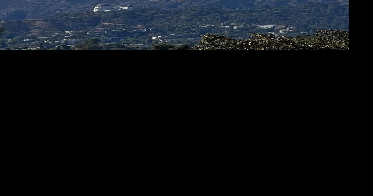 A Picture-Perfect L.A. Afternoon | Scenes And Sightings ...