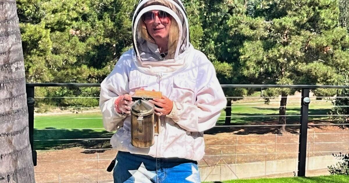 Eagle Rock Beekeeper: Saving Hives and Protecting Bees | Eagle Rock ...