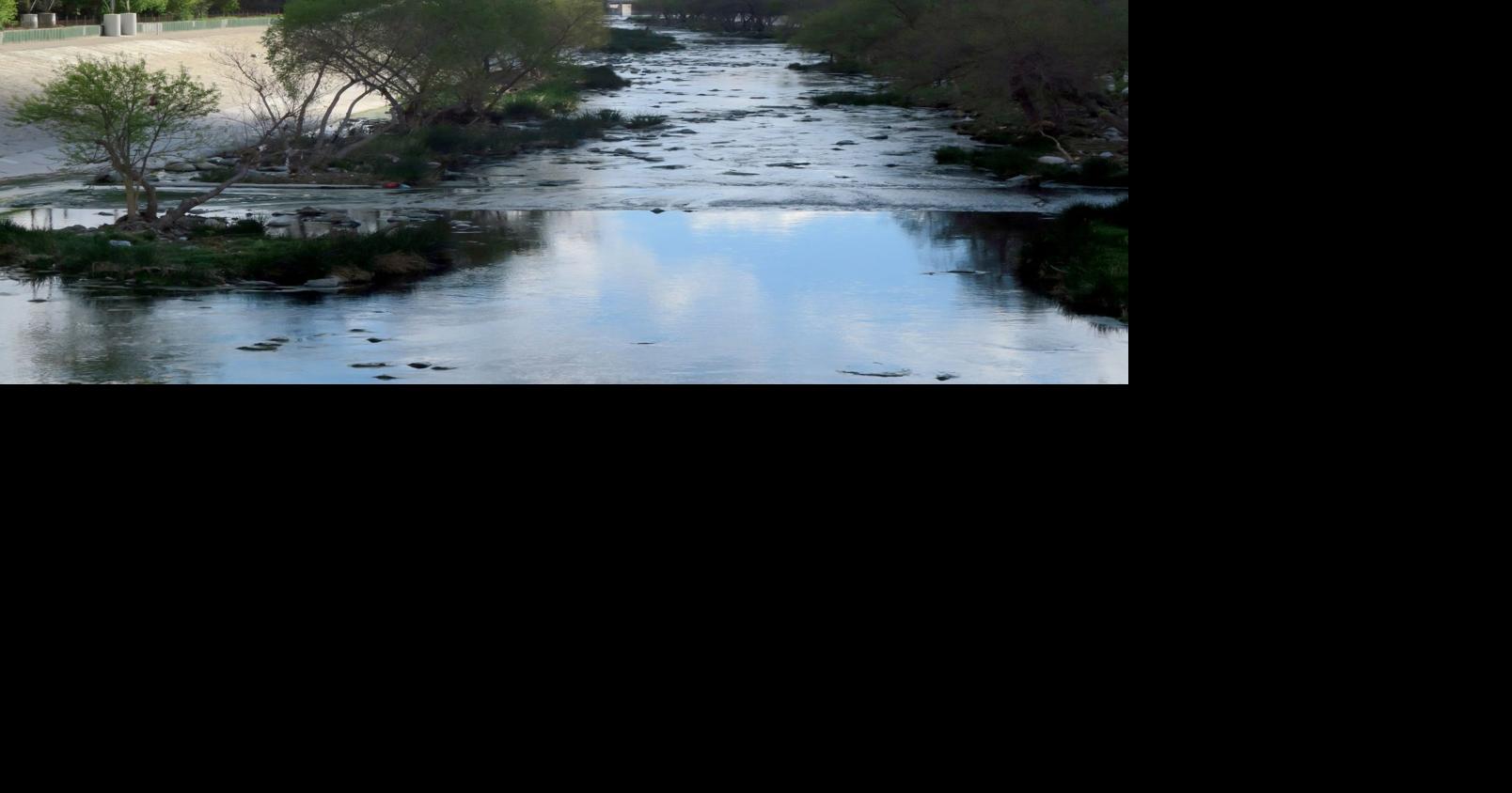 How to bring back steelhead trout to the L.A. River | Los Angeles River ...