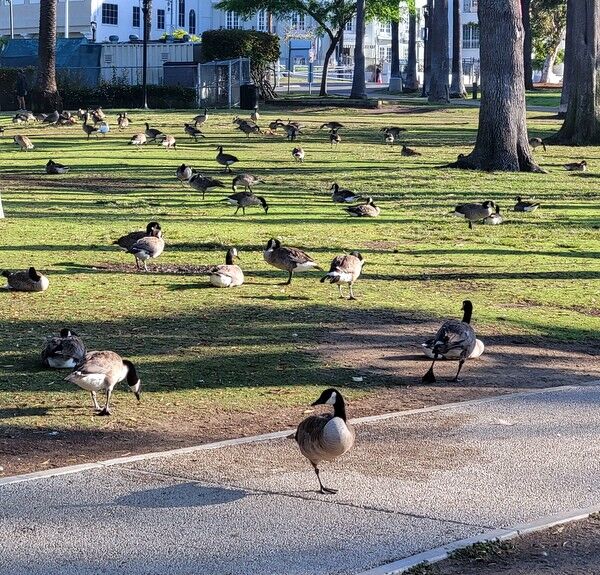 Intersection of Art and Science