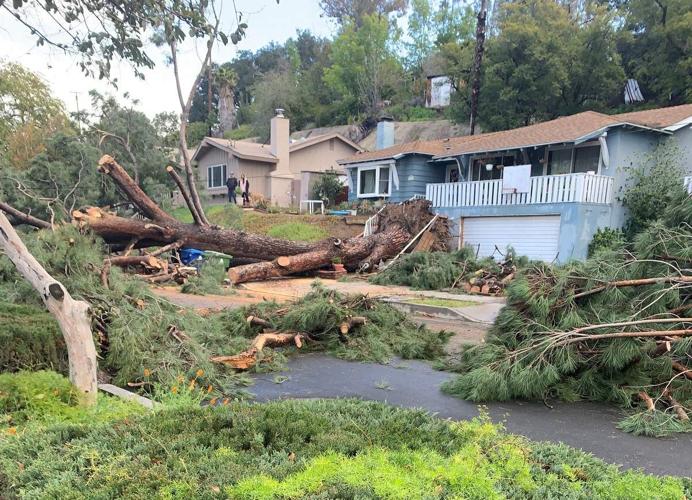 LA storms topple trees and knock out power | Environment ...