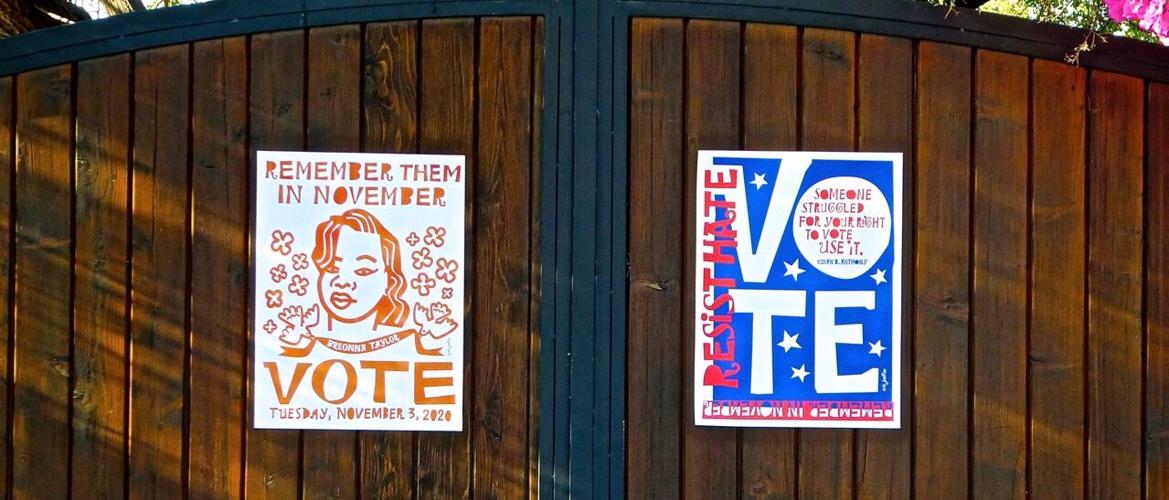 Posters, Pictures & Politics: Signs of the 2020 election ...