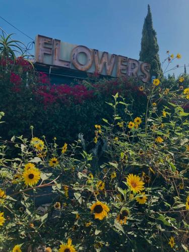 vintage florist sign with wild spring flowers in Los Feliz | Scenes And ...