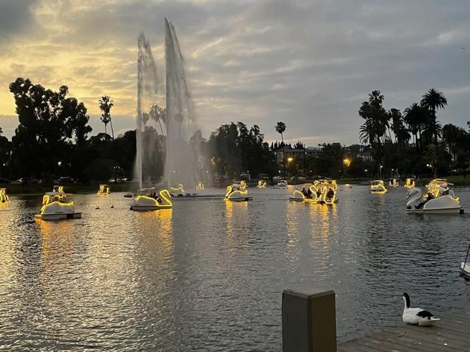 Swan Boats Glide at Echo Park: A Family and Date Night Hit | Echo Park ...