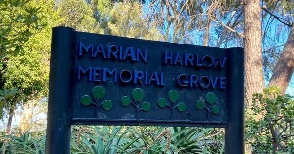 Who was Marion Harlow? | Mely Corado rally | Police chase, arrest ...