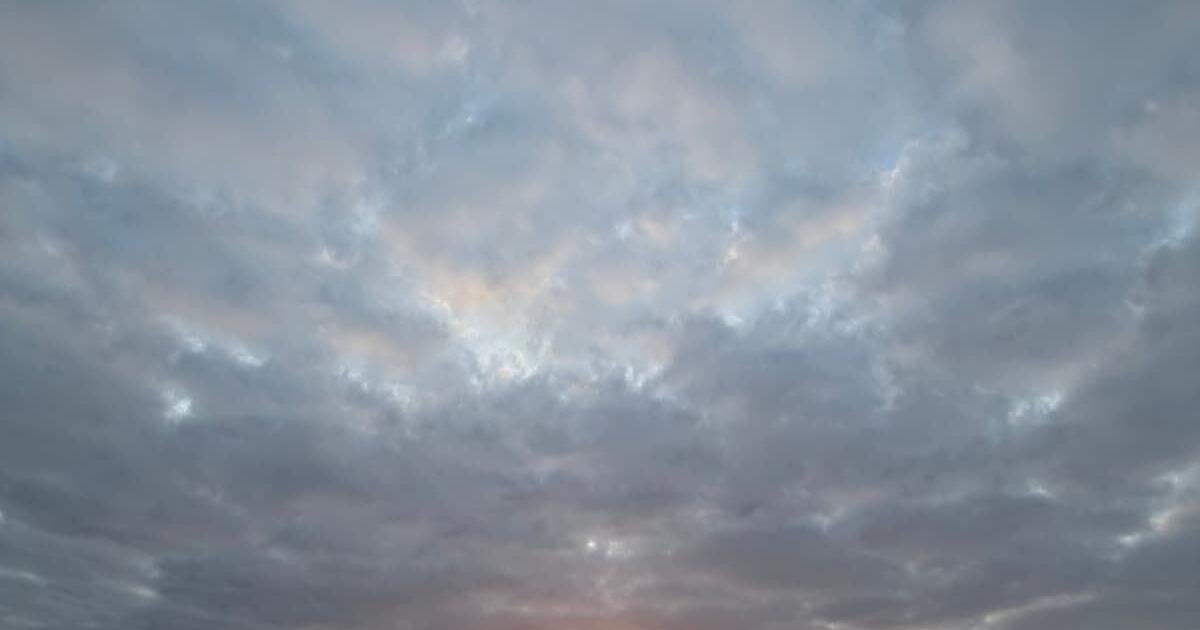 A Rare Breed: The Male Kindergarten Teacher | Daily Digest Morning ...